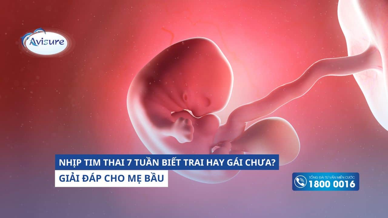 Nhịp tim thai 7 tuần biết trai hay gái chưa? Giải đáp cho mẹ