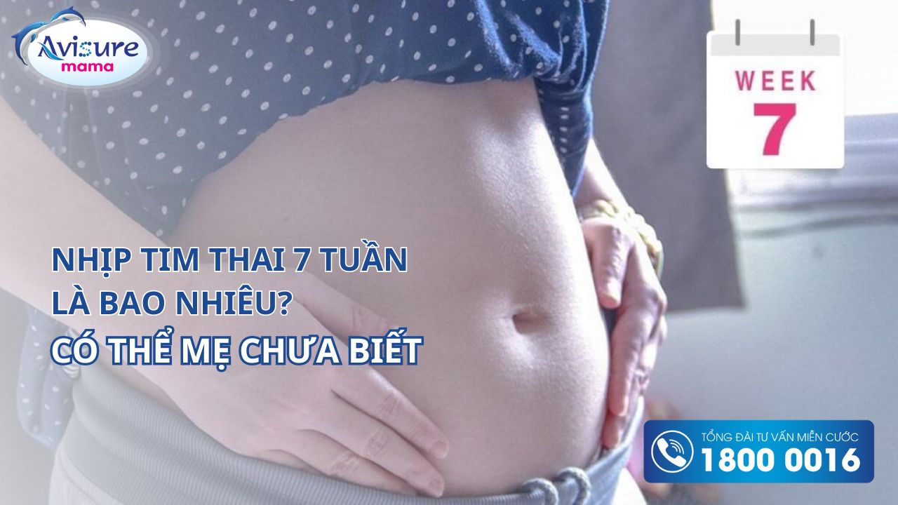 Nhịp tim thai 7 tuần là bao nhiêu? Có thể mẹ chưa biết