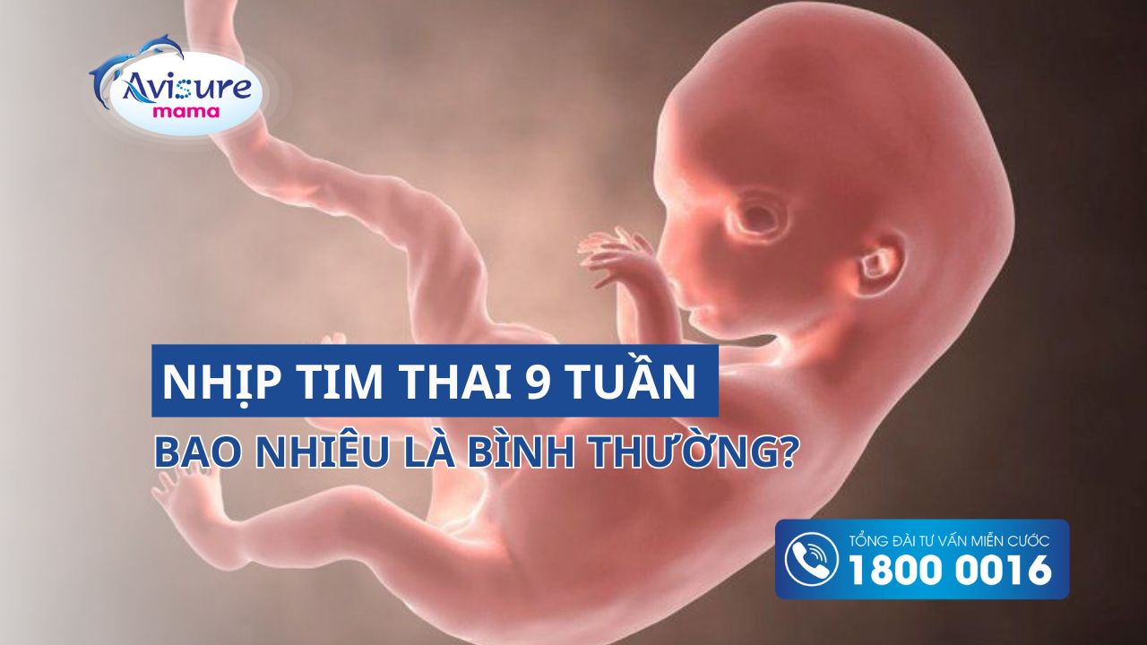 Thai 9 tuần nhịp 180-182 là trai hay gái? Nhịp tim thai 9 tuần bao ...